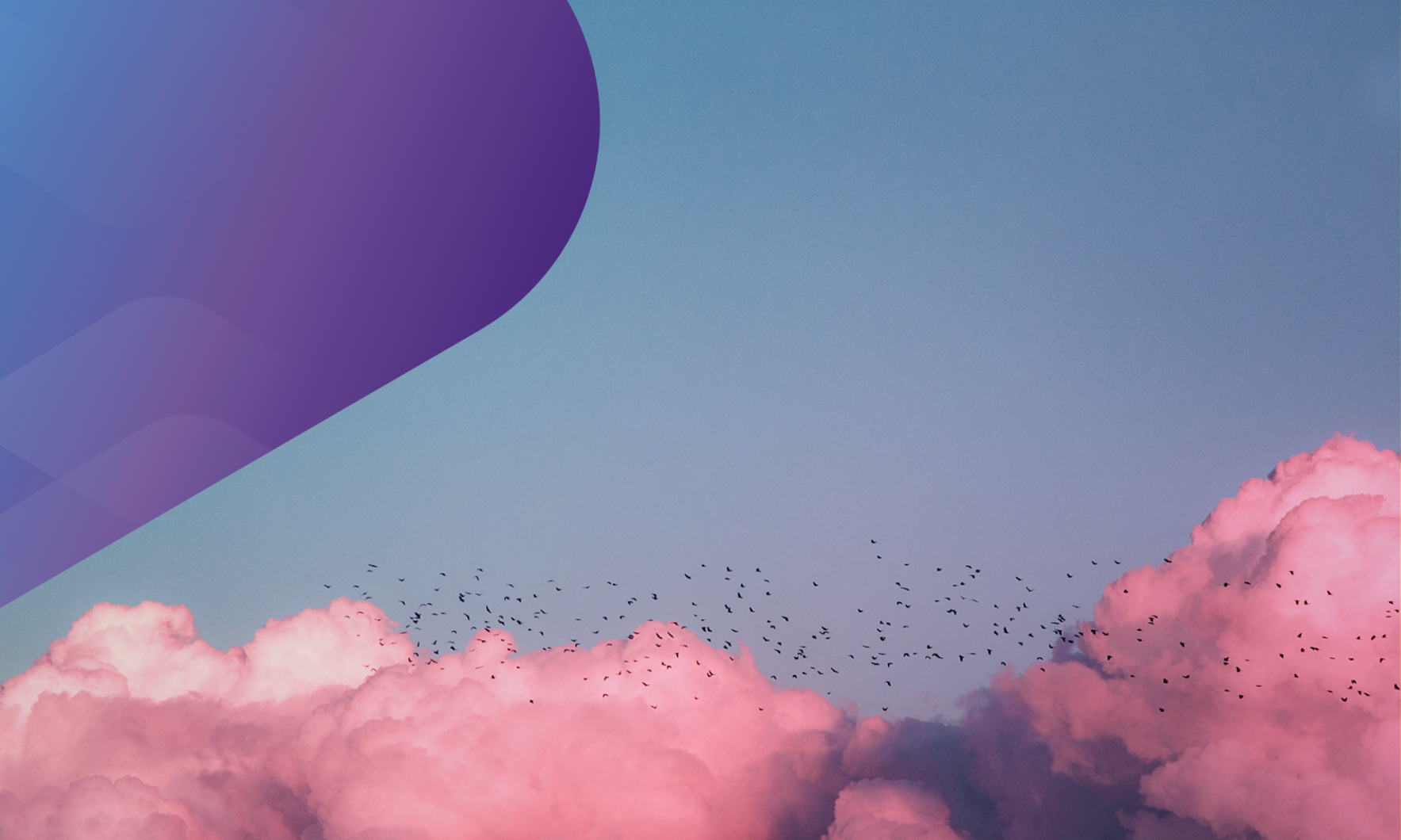 Salesforce.org Partner Summit: 2 sessions by Elements - Elements.cloud