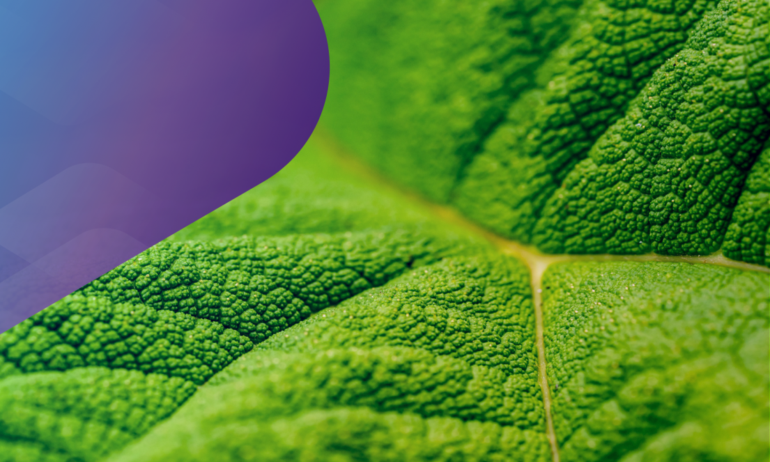 5 tips to improve your networking - Elements.cloud